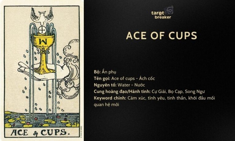 Ace Of Cups - Ý Nghĩa Lá Ace Of Cups Trong Bộ Bài Tarot - Tarot Breaker